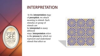 Perception concept | PPTX