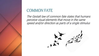 Perception concept | PPTX