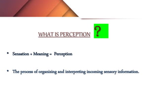 Perception concept | PPTX