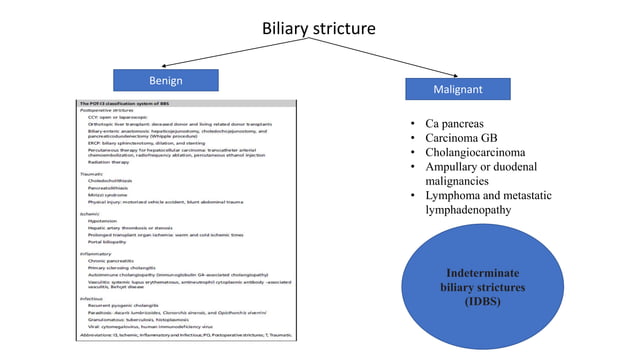 Management of Benign Biliary Stricture | PPTX | Digestive Disorders ...