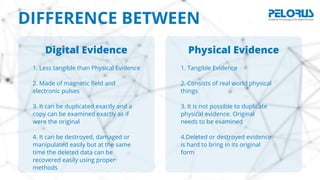 Search & Seizure of Electronic Evidence by Pelorus Technologies | PDF