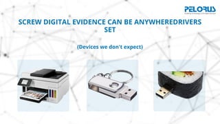 Search & Seizure of Electronic Evidence by Pelorus Technologies | PDF