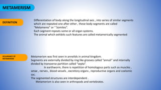 PHYLUM ANNELIDA WITH SPECIAL REFERENCE TO METAMERISM | PPTX