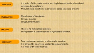 PHYLUM ANNELIDA WITH SPECIAL REFERENCE TO METAMERISM | PPTX