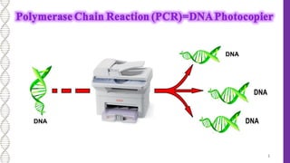 ppt.polymerase_chain_reaction_pcr (1).pdf