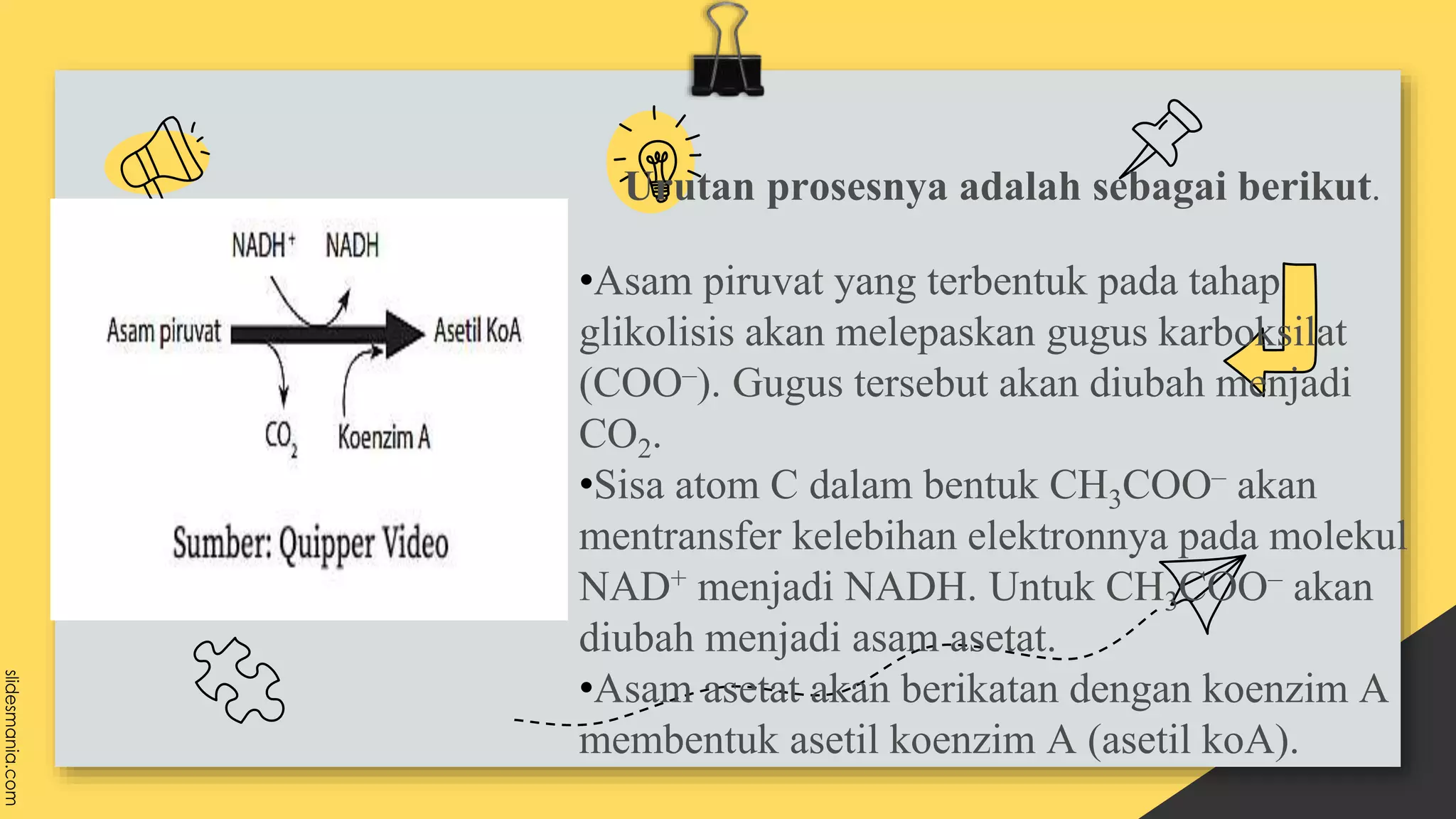 PPT.Reaksi.Aerob.team 1.pptx