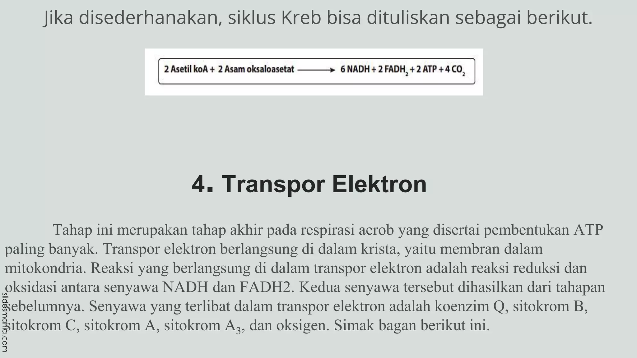 PPT.Reaksi.Aerob.team 1.pptx