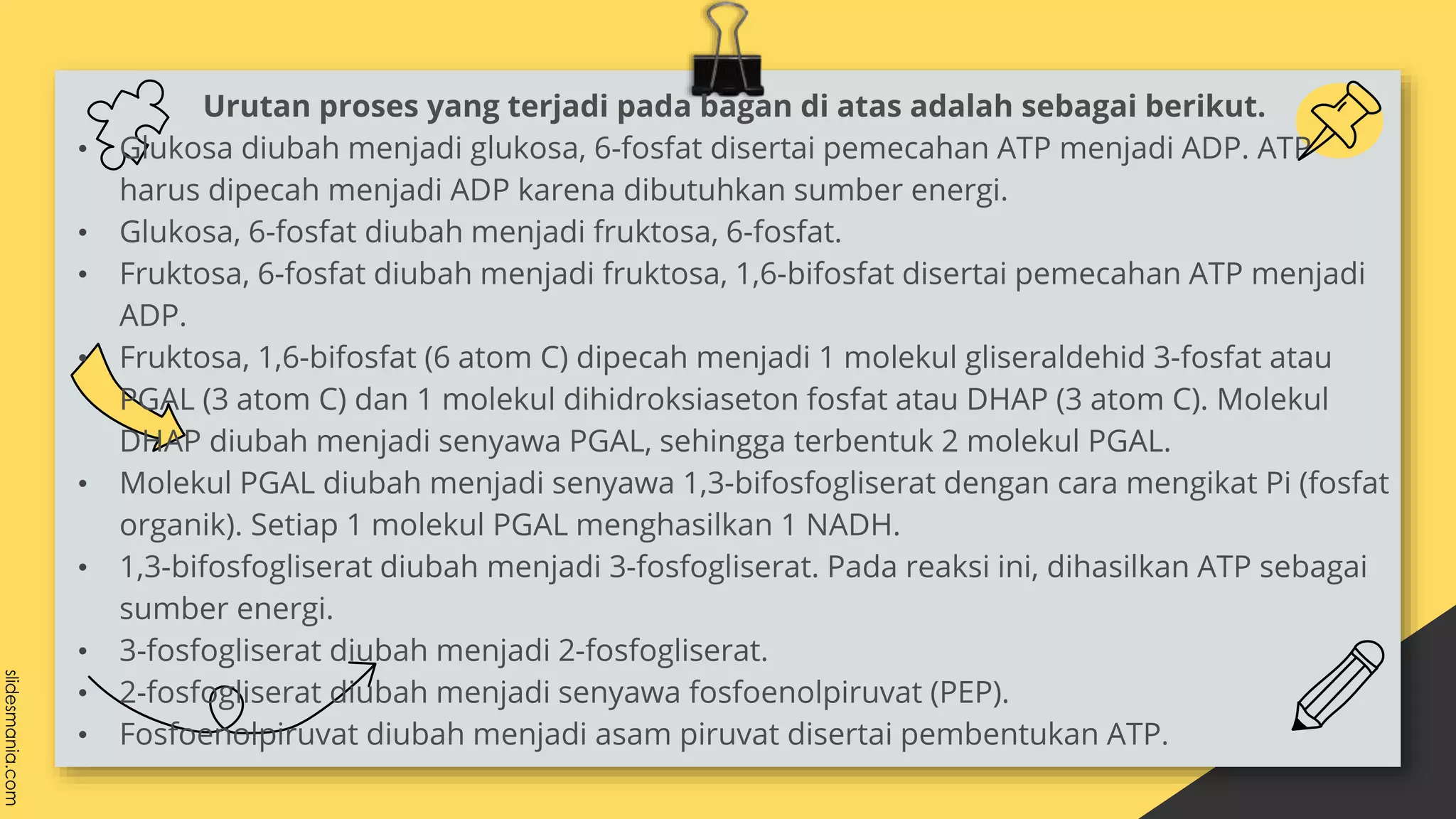 PPT.Reaksi.Aerob.team 1.pptx