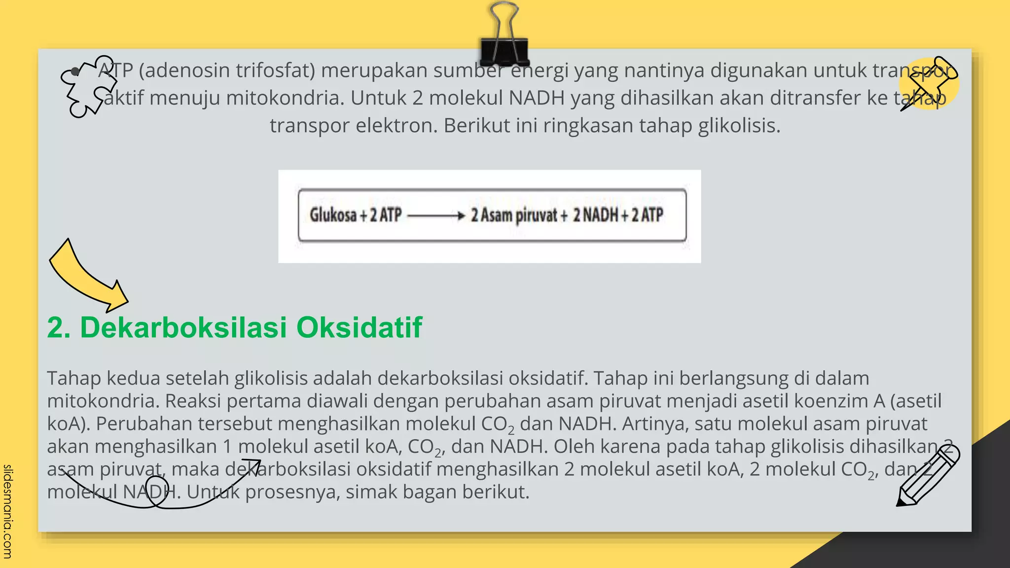PPT.Reaksi.Aerob.team 1.pptx