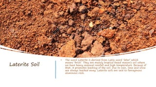 Geography project on Soils for Xth.pptx