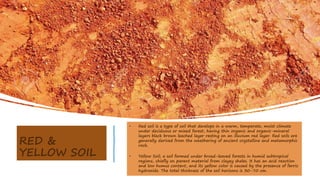 Geography project on Soils for Xth.pptx
