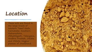 Geography project on Soils for Xth.pptx