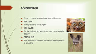 ppt.ppt