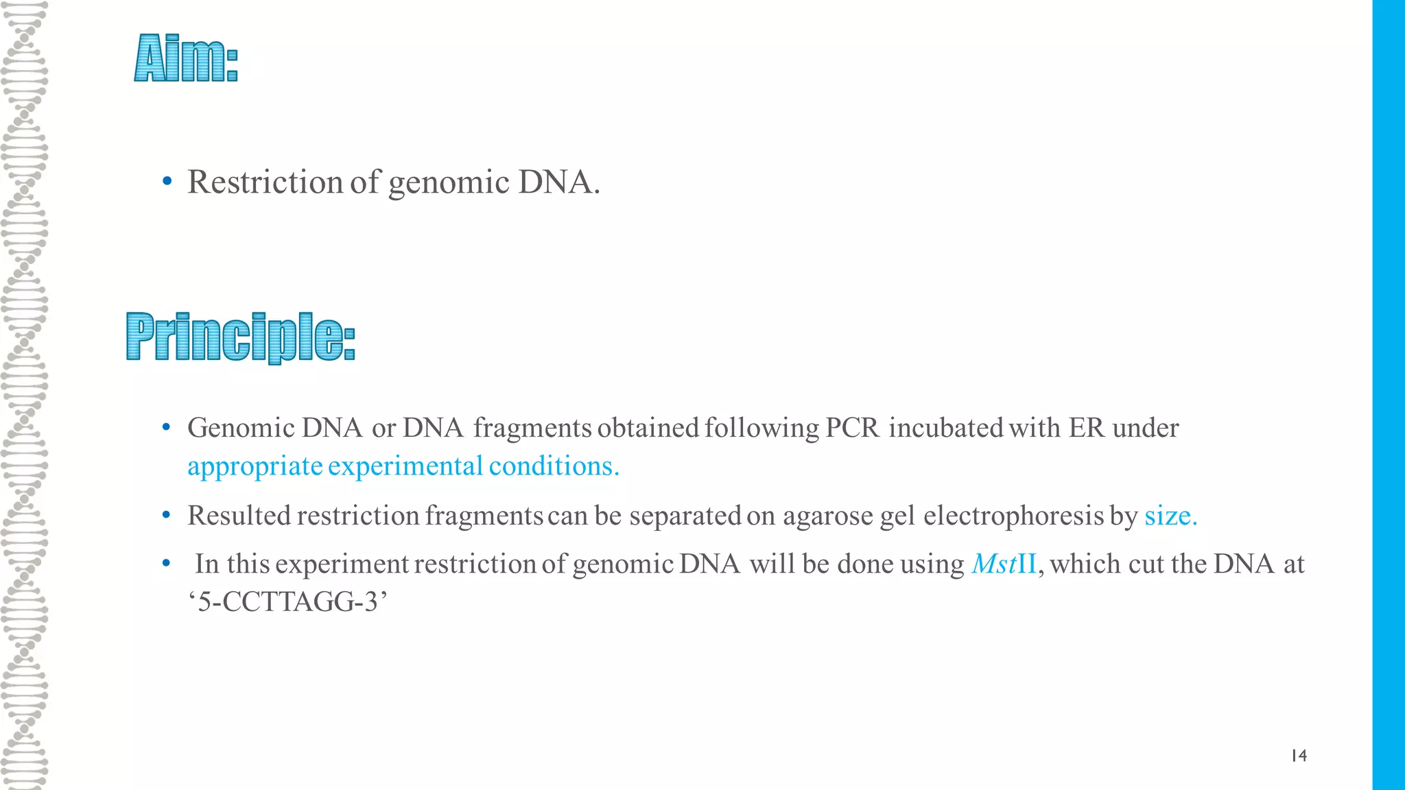 ppt._digestion_of_dna_with_restriction_enzymes.pdf