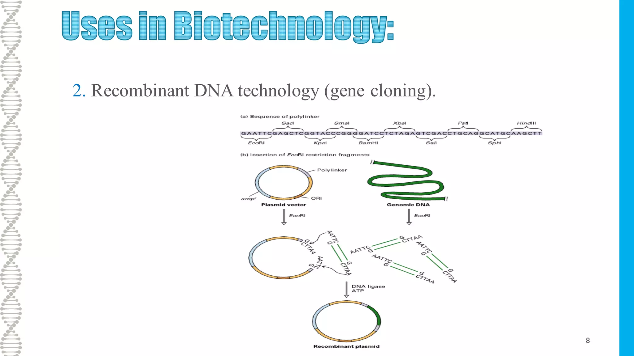 ppt._digestion_of_dna_with_restriction_enzymes.pdf