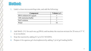 ppt._digestion_of_dna_with_restriction_enzymes.pdf