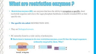 ppt._digestion_of_dna_with_restriction_enzymes.pdf