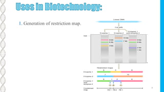 ppt._digestion_of_dna_with_restriction_enzymes.pdf