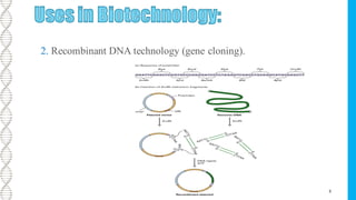 ppt._digestion_of_dna_with_restriction_enzymes.pdf