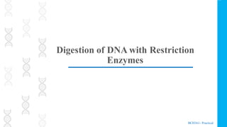 ppt._digestion_of_dna_with_restriction_enzymes.pdf