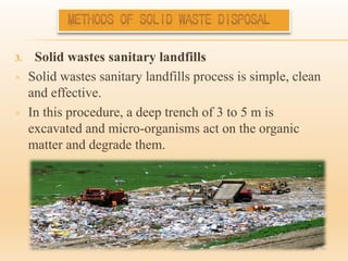 Solid Waste | PPTX