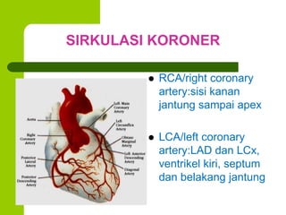 PPT. PTCA CATHLAB.ppt