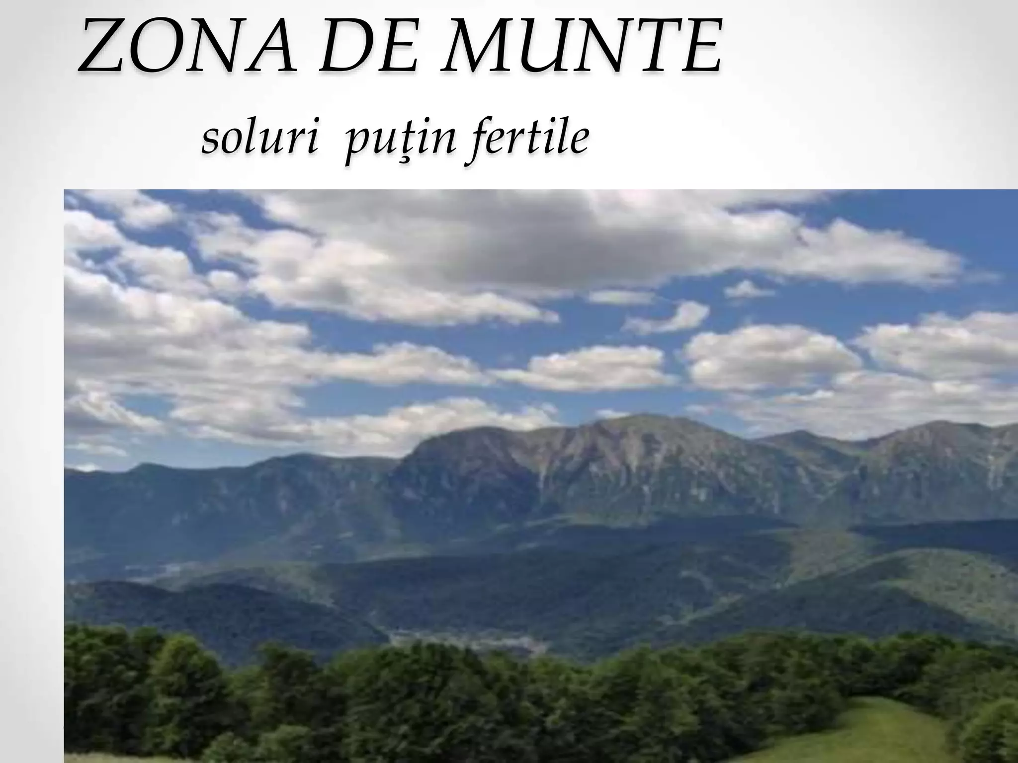 ppt._vegetatie_fauna_soluri.ppt