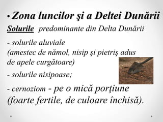 ppt._vegetatie_fauna_soluri.ppt