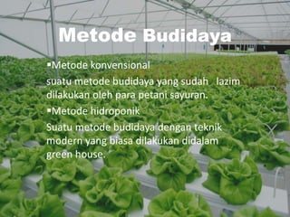 PPT.BUDIDAYA TANAMAN.ppt