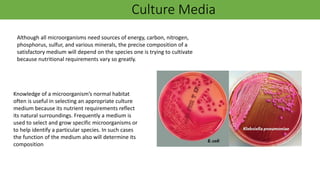 PPT.6 Staining and culture techniques copy.pptx