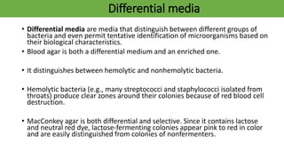 PPT.6 Staining and culture techniques copy.pptx