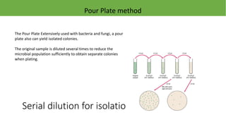 PPT.6 Staining and culture techniques copy.pptx