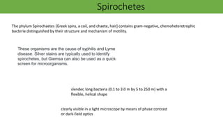 PPT.6 Staining and culture techniques copy.pptx