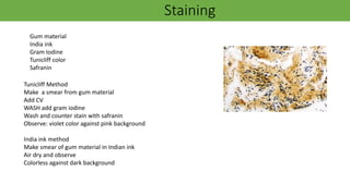 PPT.6 Staining and culture techniques copy.pptx