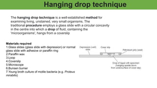PPT.6 Staining and culture techniques copy.pptx
