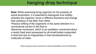 PPT.6 Staining and culture techniques copy.pptx