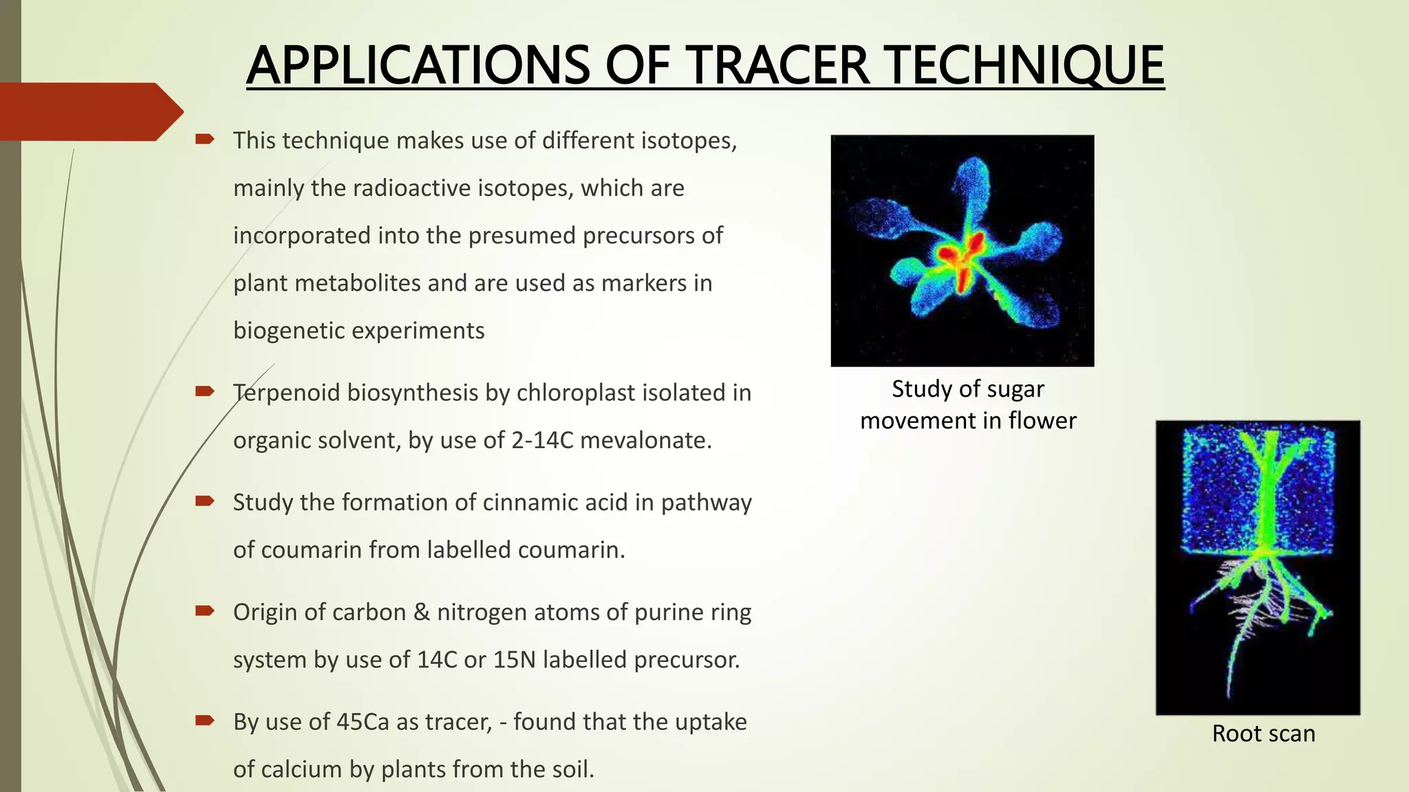 biosynthetic pathways and radiotracer techniques.pptx