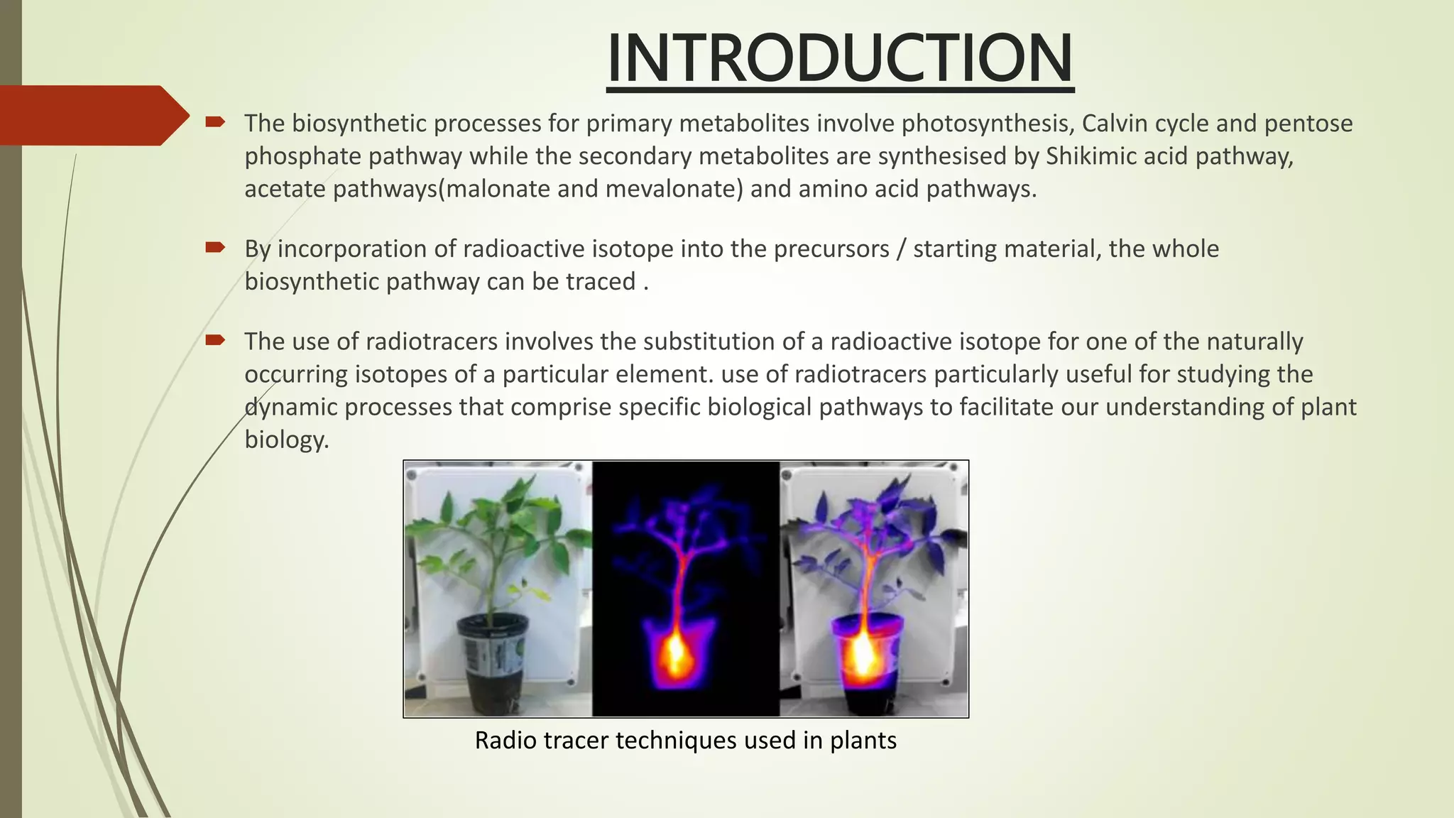 biosynthetic pathways and radiotracer techniques.pptx