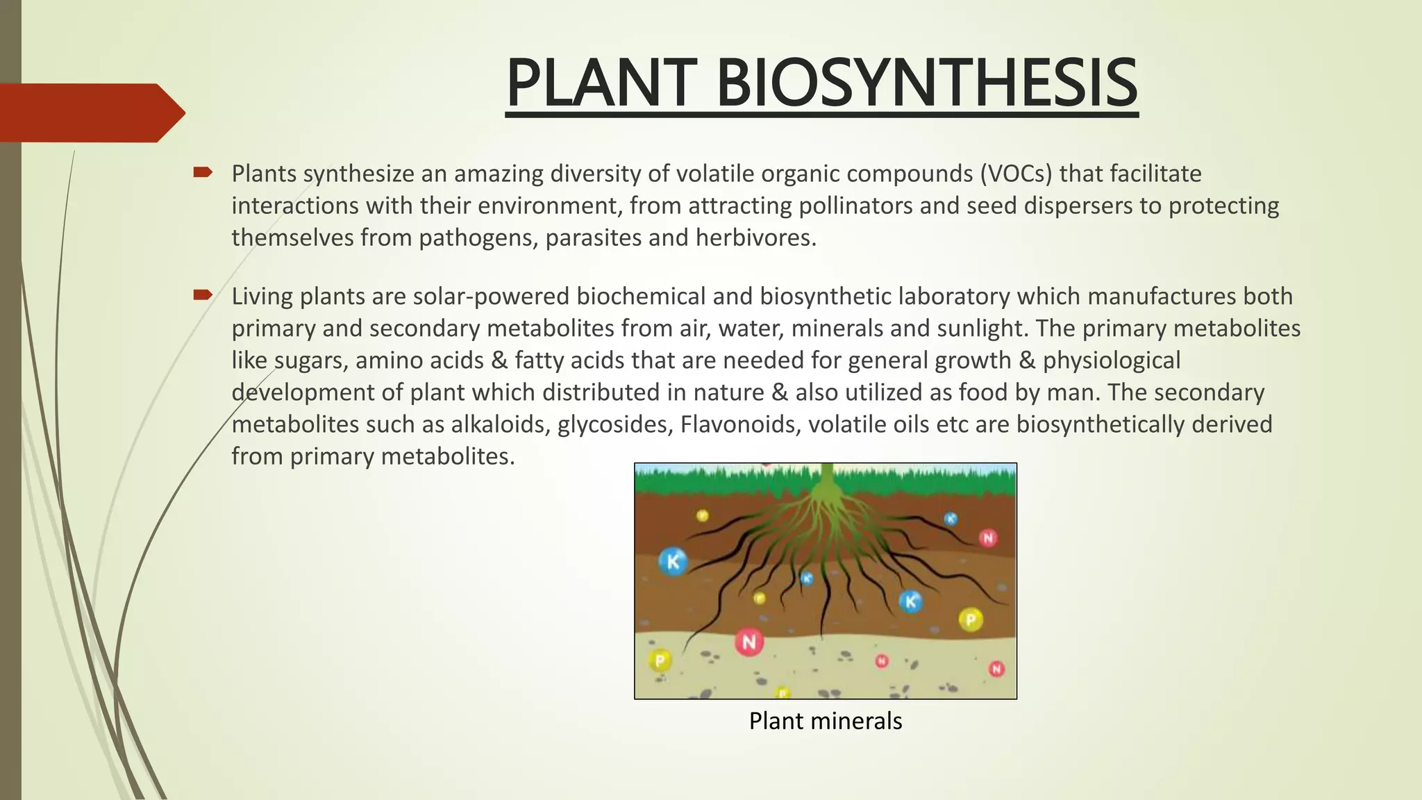 biosynthetic pathways and radiotracer techniques.pptx