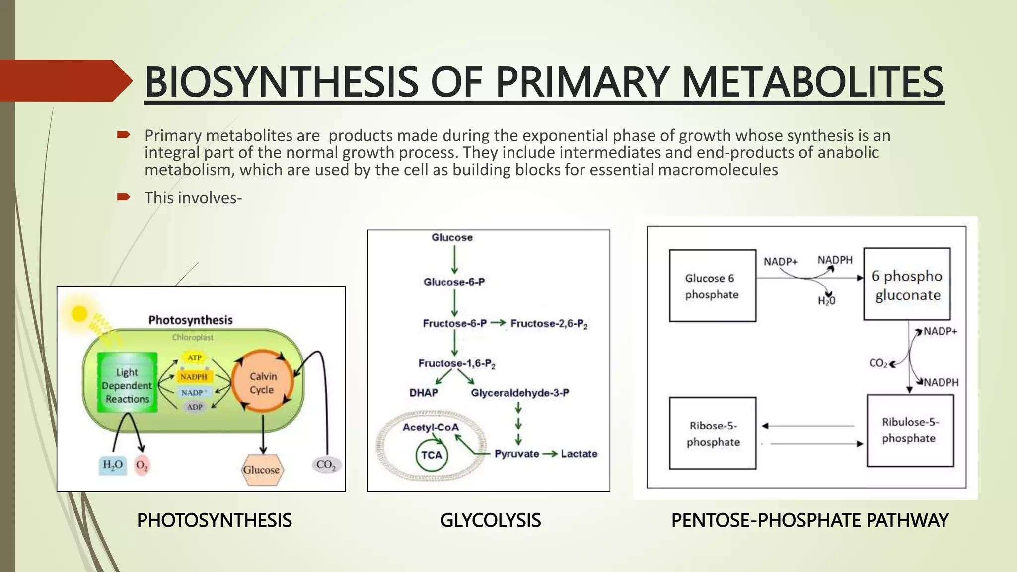biosynthetic pathways and radiotracer techniques.pptx