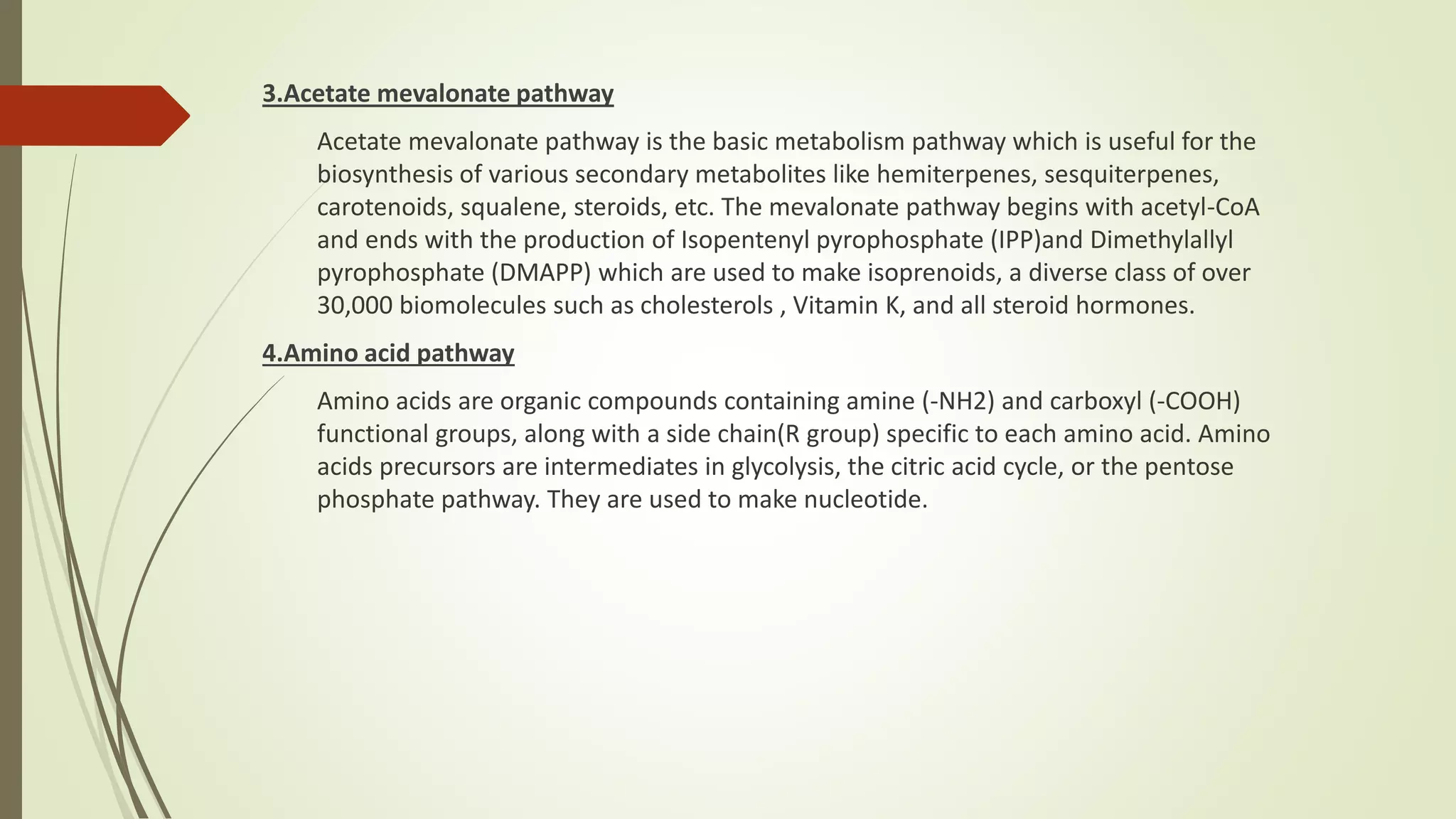 biosynthetic pathways and radiotracer techniques.pptx