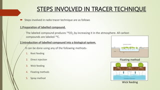 biosynthetic pathways and radiotracer techniques.pptx