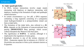 DNA structure | PPTX