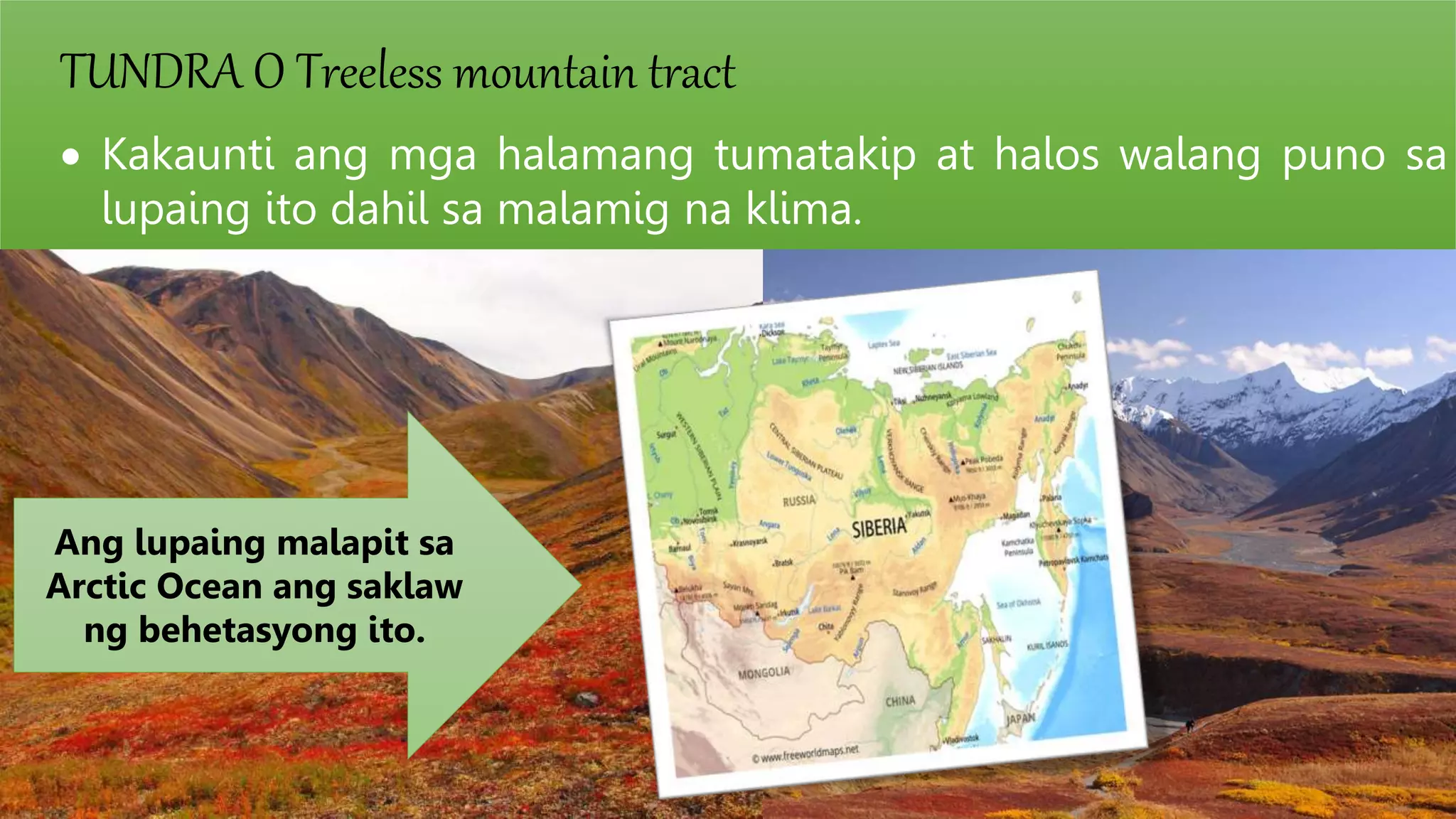 Vegetation Cover.pptx