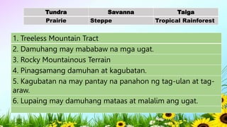 Vegetation Cover.pptx