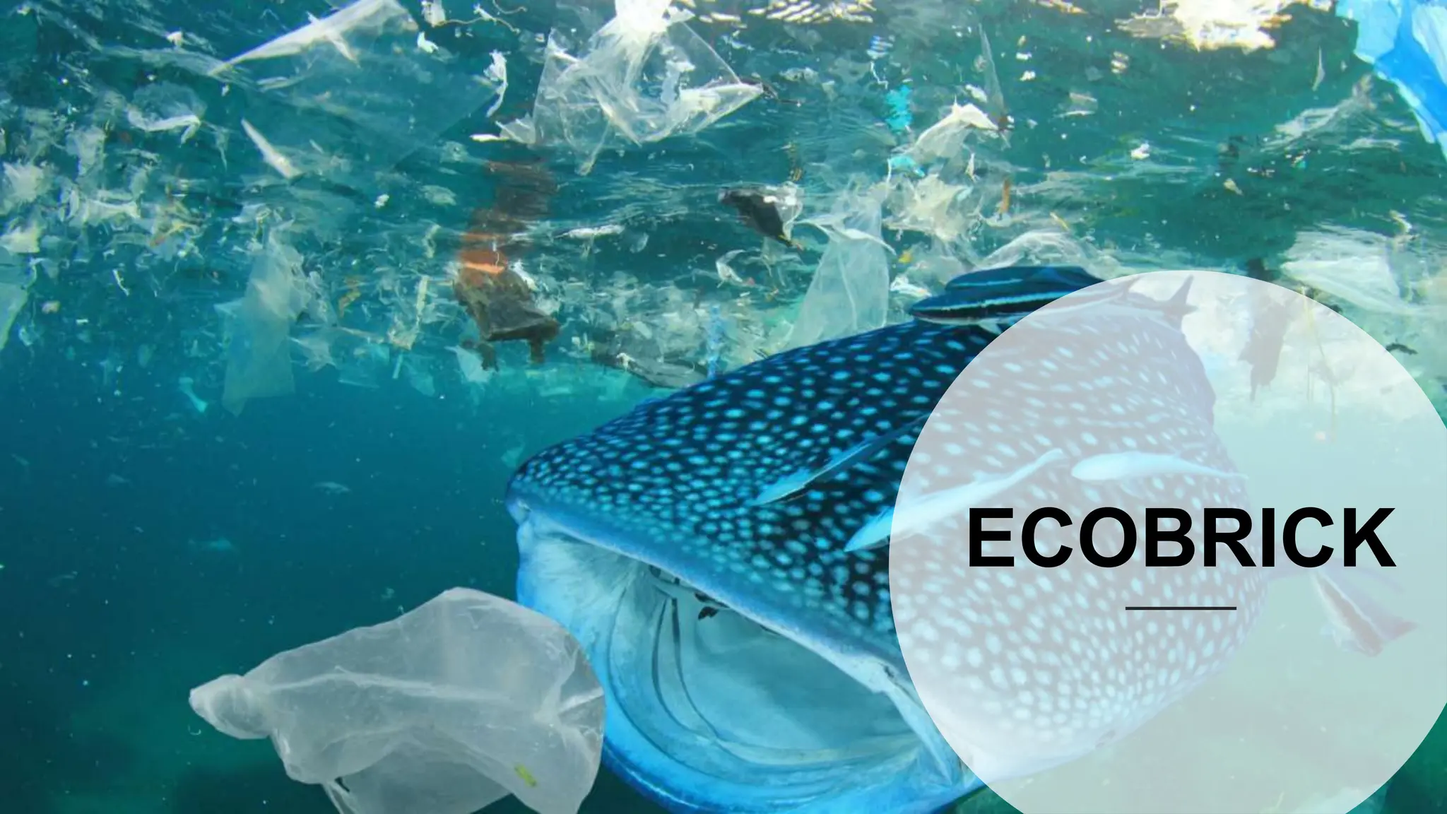 power point ecobrick solusi limbah plastik | PPTX