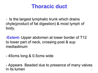 Thoracic duct | PPTX
