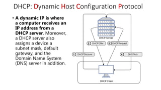 IP Layer.pptx