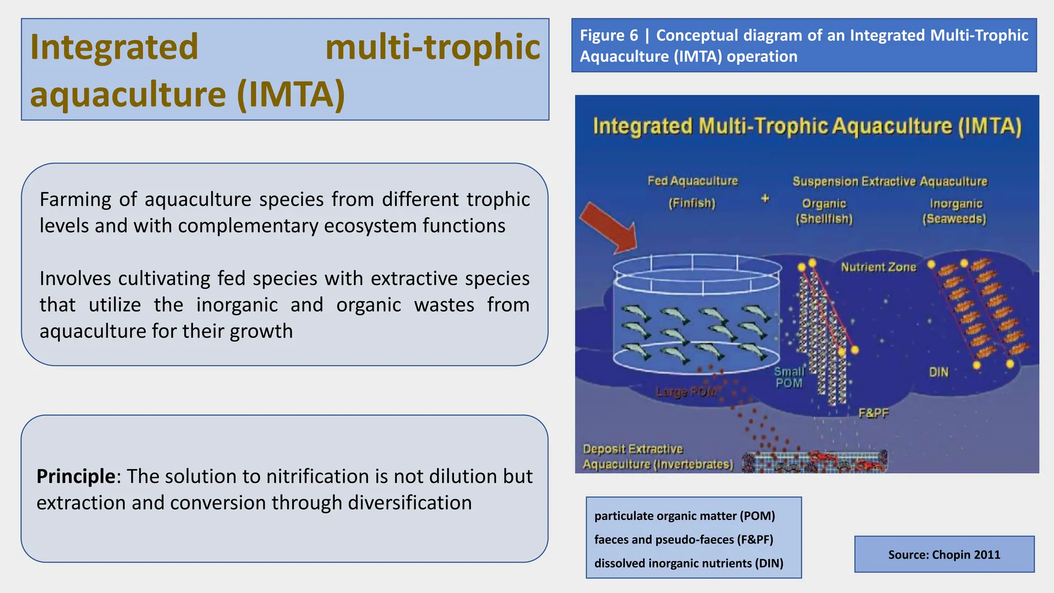 Climate Resilient Aquaculture Practices | PPTX