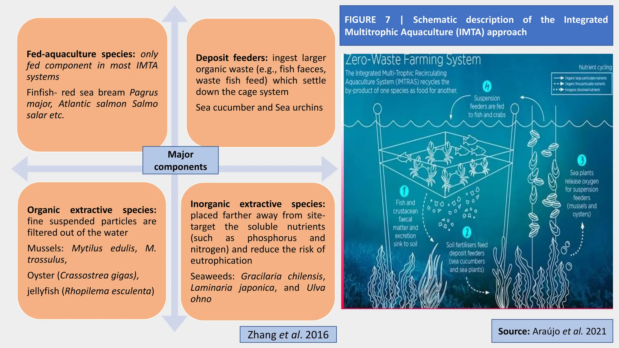 Climate Resilient Aquaculture Practices | PPTX